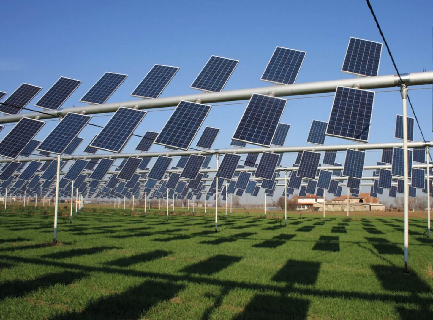 Agrivoltaico e sostenibilità: nuovo equilibrio tra energia e agricoltura